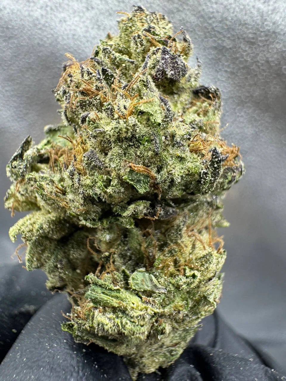 THCa Hemp Flower Tier 2 - Bulk – Alderson Family Farms